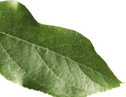 Accueil | Heritage77